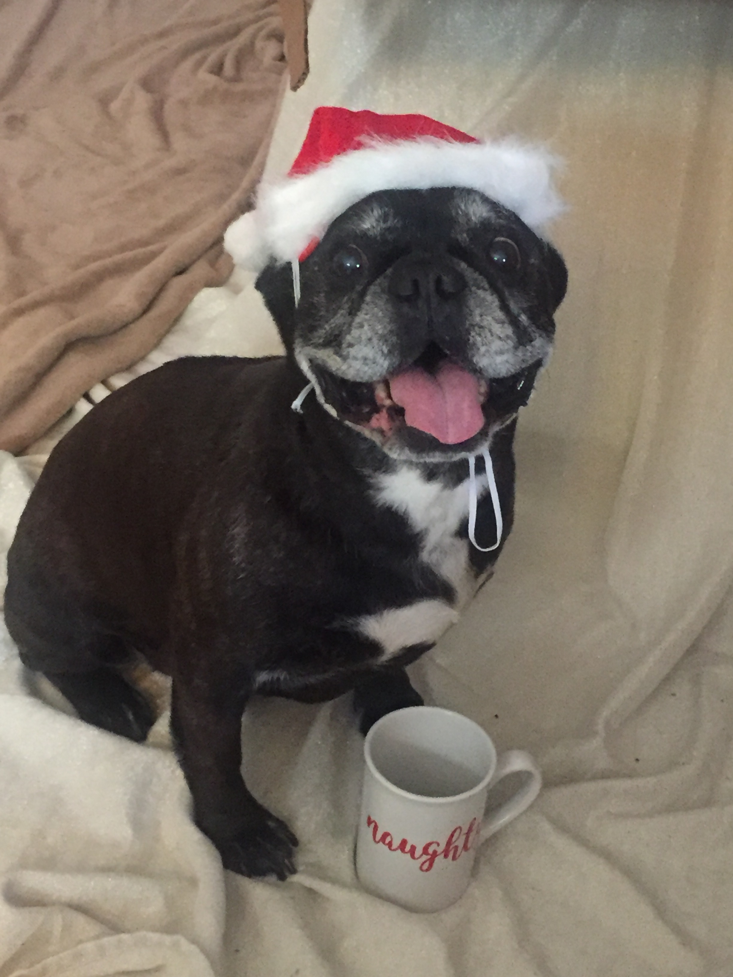 How To Throw a Fabulously Fat-Friendly Event – Dances With Fat